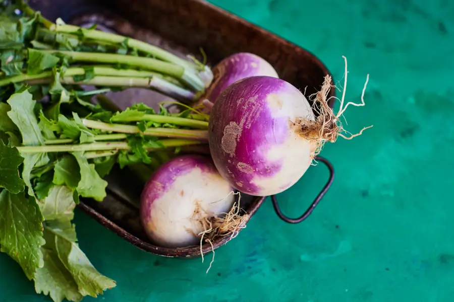 Nabo: propiedades y beneficios para la salud